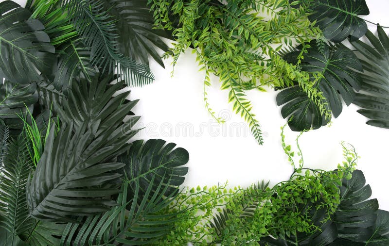 Frame of Artificial Tropical Leaves Isolated on White Background. Stock ...