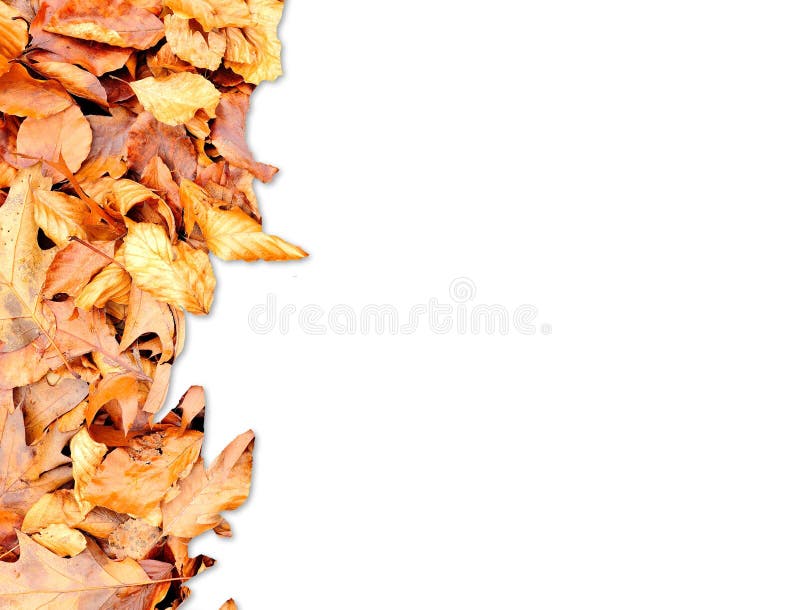 121 Autumn Left Side Border Stock Photos - Free & Royalty-Free Stock ...