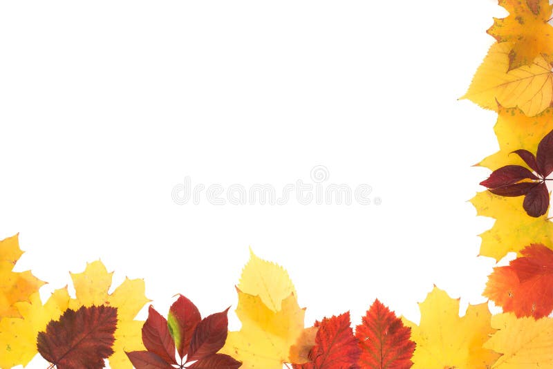 Frame of autumn leaves. stock image. Image of margin - 163565731