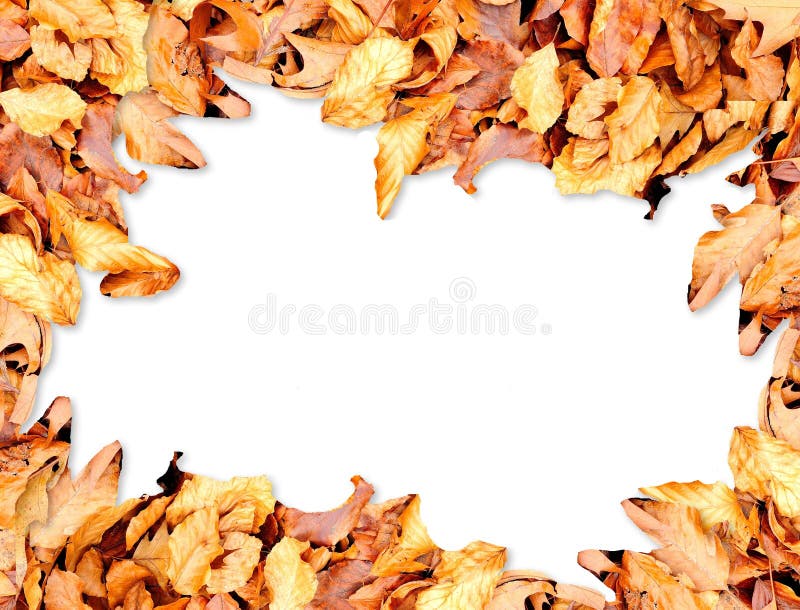 Frame with autumn leaves stock image. Image of leaves - 97522339