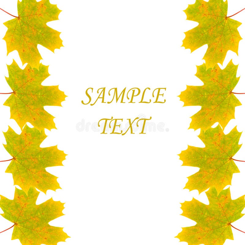 Frame of Autumn Maple Leaves Stock Image - Image of design, isolated ...