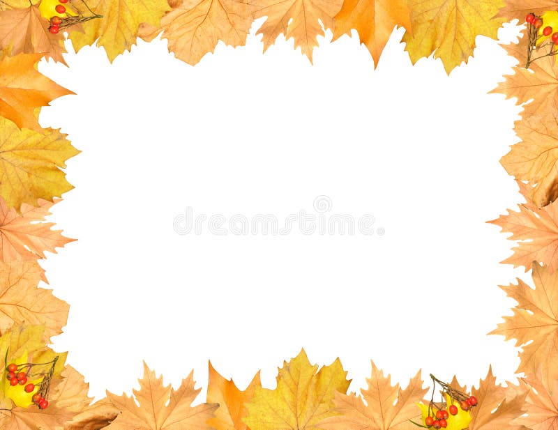 Maple Footer / Autumn Leaves Stock Illustration - Illustration of card ...