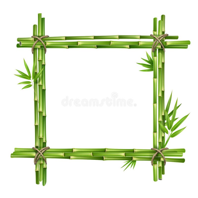 Japanese Bamboo Tree Cards Design or Vector Chinese Bambu Banners Stock ...