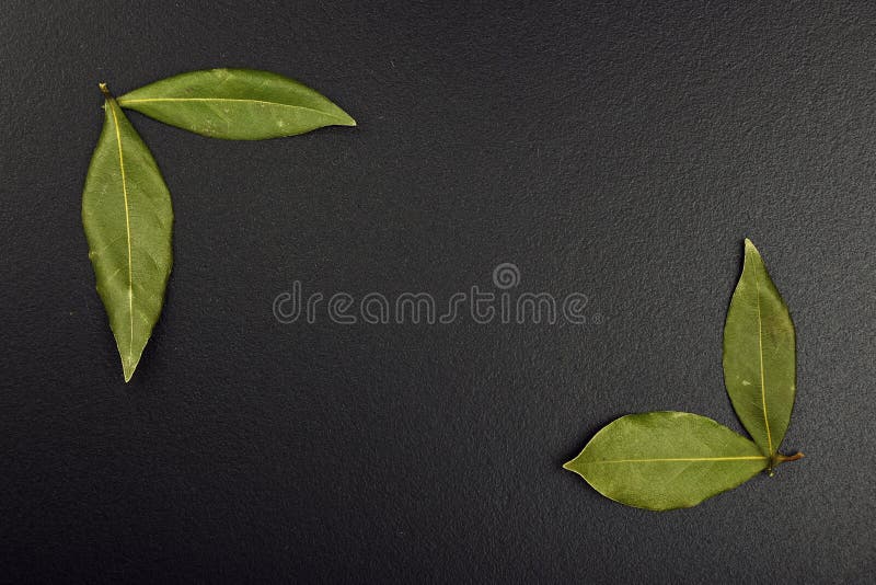 Frame of Bay Leaves on Black Chalkboard Stock Image - Image of board ...