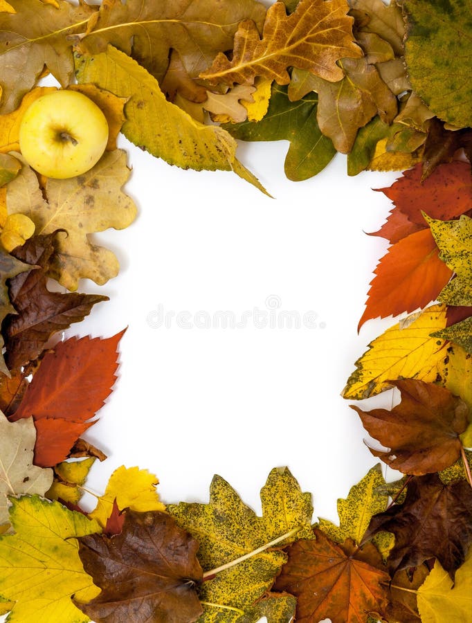 Frame of Beautiful Autumn Fallen Leaves. in Corner of Apple Stock ...
