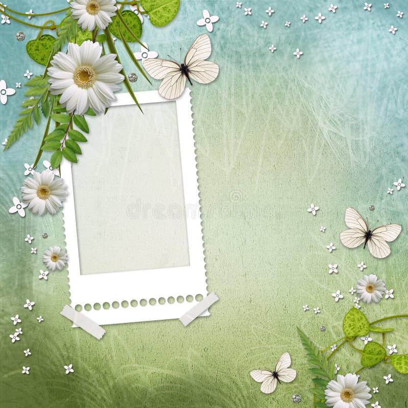 Camomile frame stock vector. Illustration of banner, isolated - 15131201