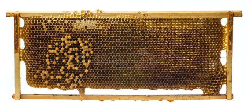 Frame with Beecomb Texture Close Up Stock Photo - Image of healthy ...
