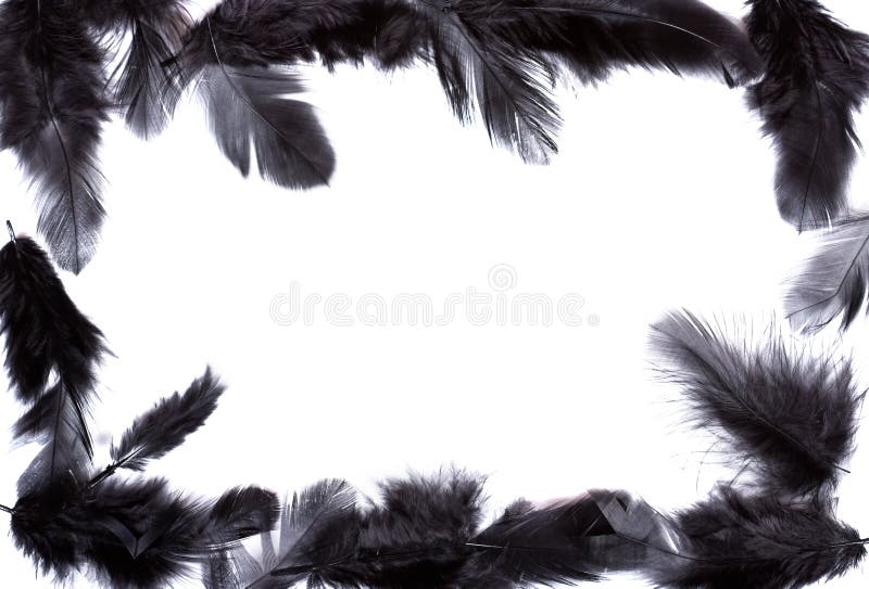 Frame of black feather stock image. Image of beauty, background - 10972975