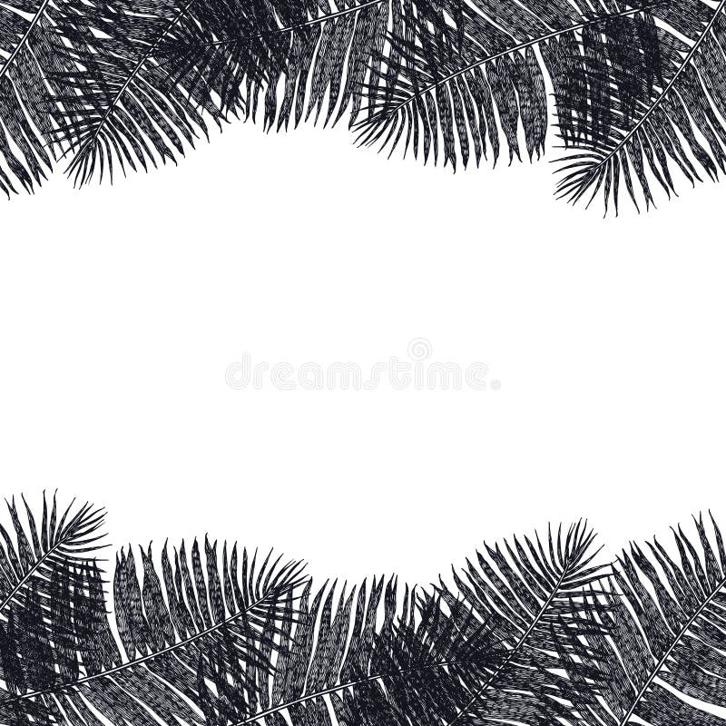 Frame of Black Palm Leaves Hand Drawing Illustration Stock Vector ...