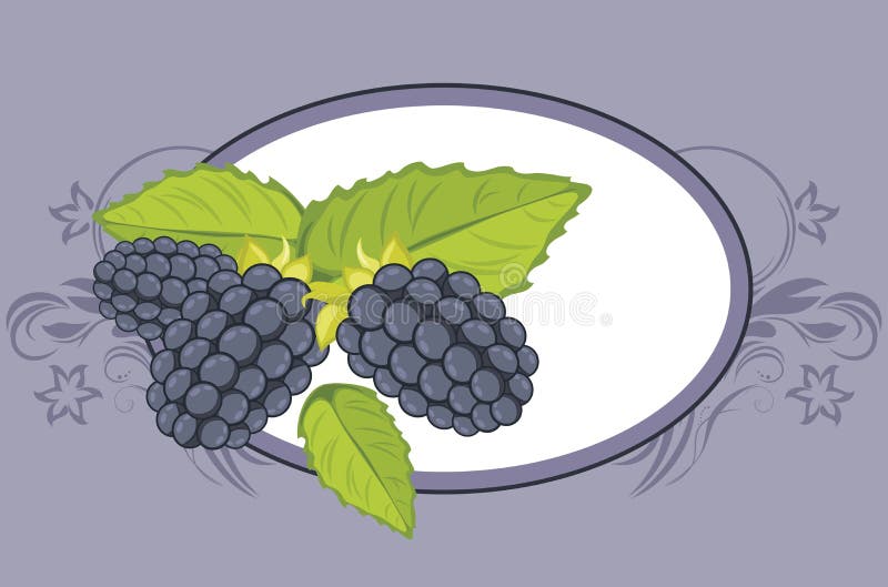 Frame with Blackberry. Label for Design Stock Vector - Illustration of ...
