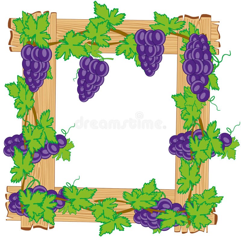 Frame from Boards Twining Grapevine on White Background Stock Vector ...