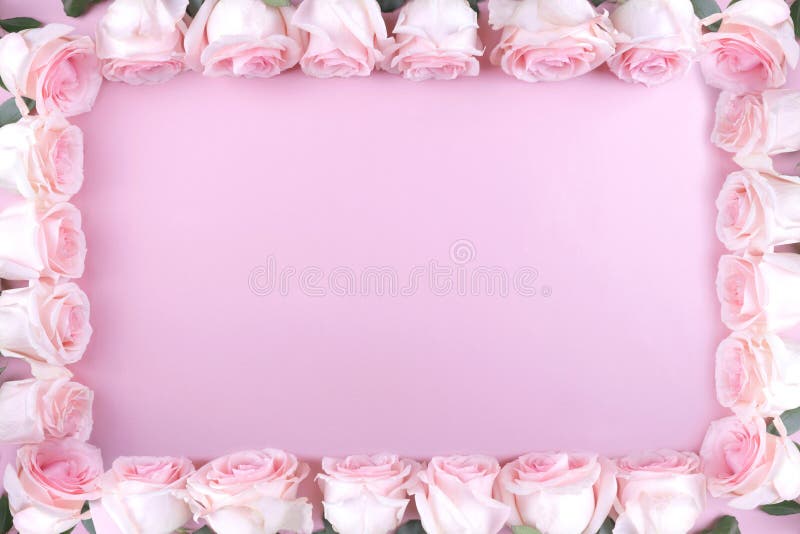 Frame Border of Pink Roses Around the Edges on a Pink Background Stock ...