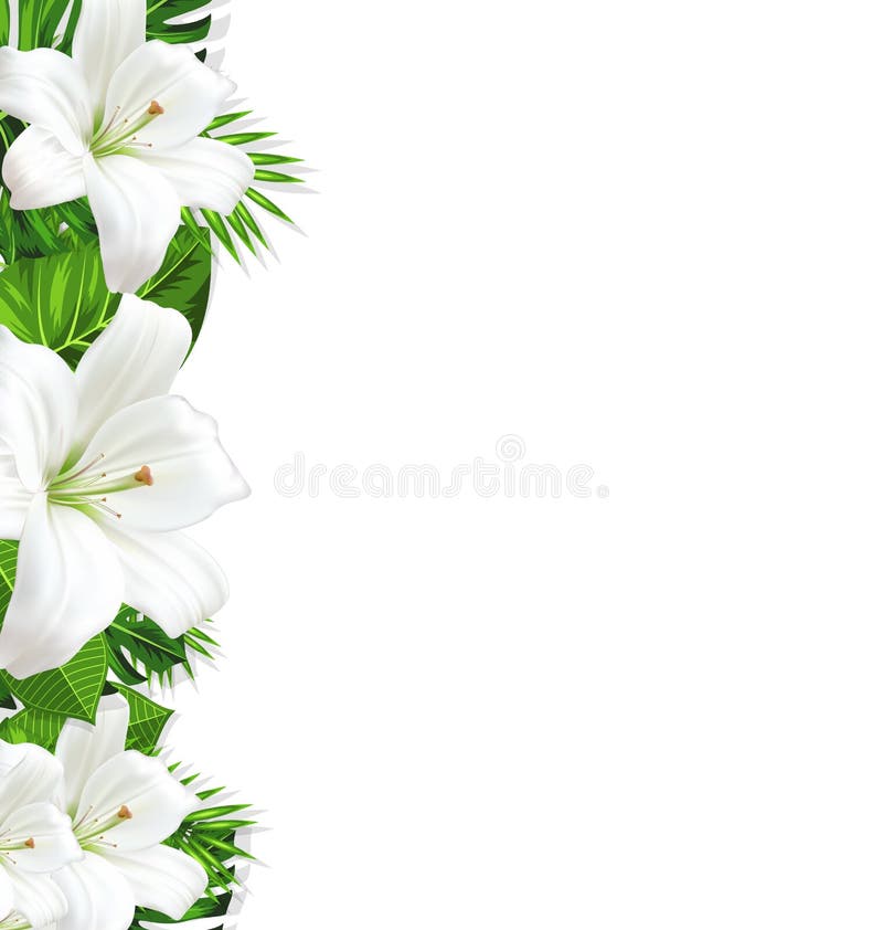 Frame Branch Tropical Leaves and White Flowers Lily Stock Vector ...