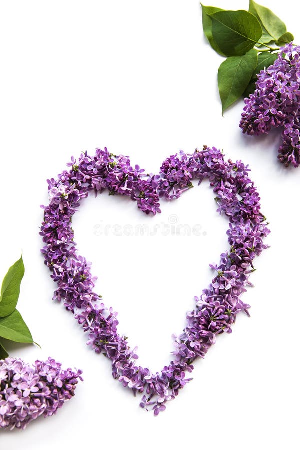 Frame of Branches and Flowers of Lilac in the Shape of a Heart Stock ...