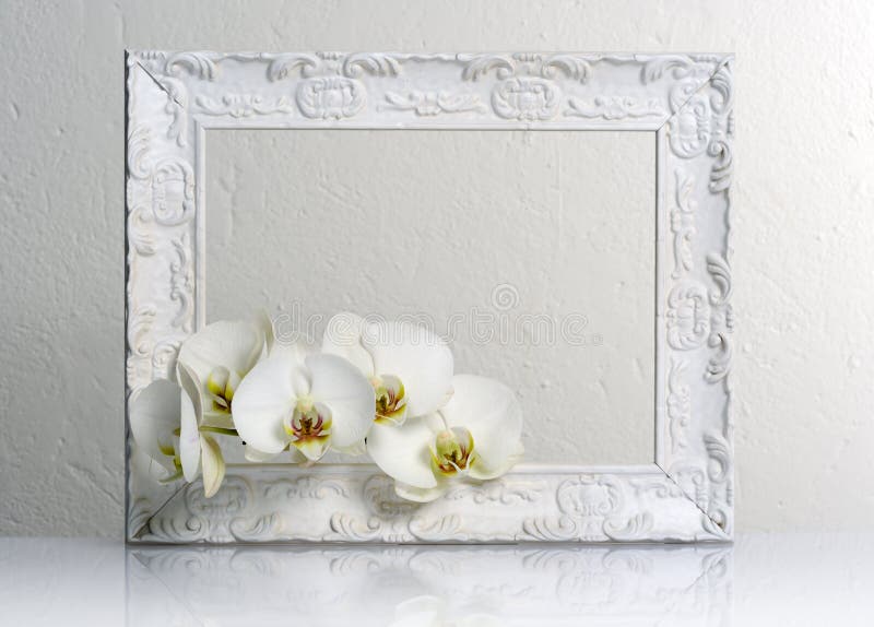 Frame branco bonito foto de stock. Imagem de textura - 24314608