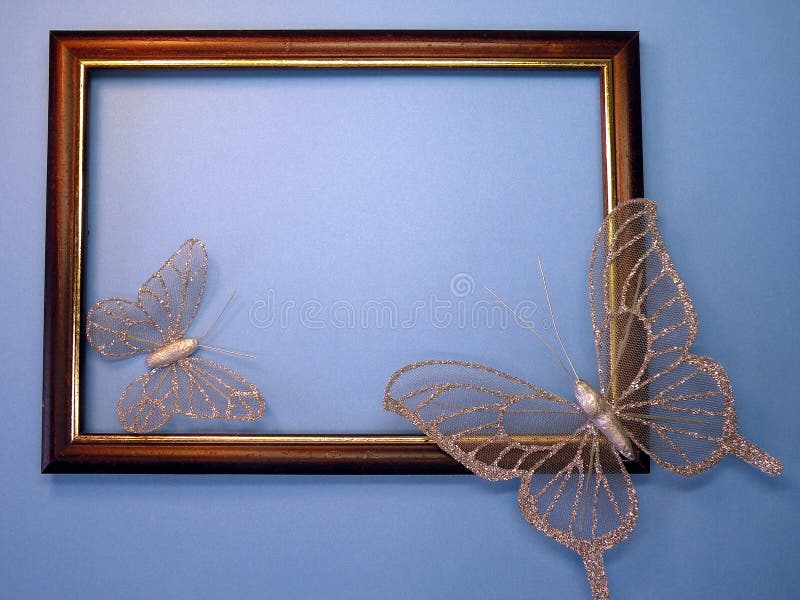 Frame and butterfly stock photo. Image of frame, macro - 18283842