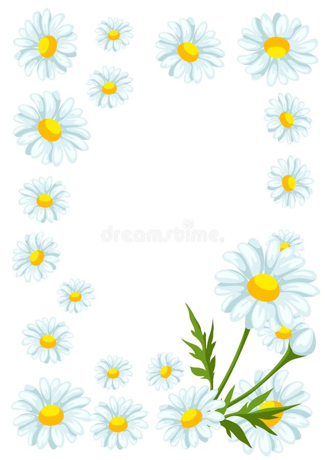 Frame with Chamomiles Flowers. Beautiful Decorative Spring Plants Stock ...