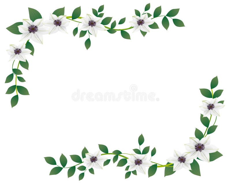 Frame of the Clematis Flower Illustration Stock Vector - Illustration ...