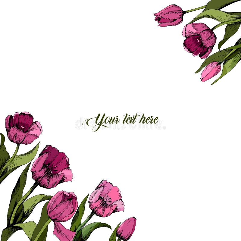 Frame with Colored Pink Tulips. Poster. Spring Mood Stock Illustration ...