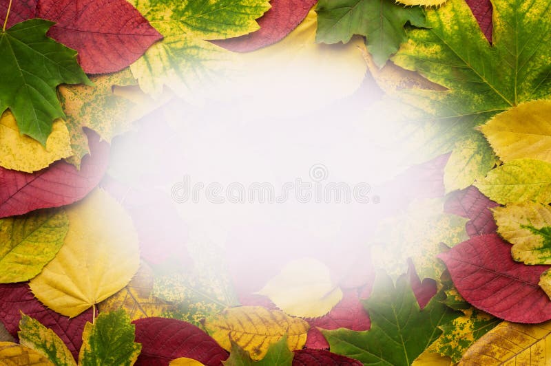 Frame of Colorful Autumn Leaves for Writing Text. Stock Photo - Image ...