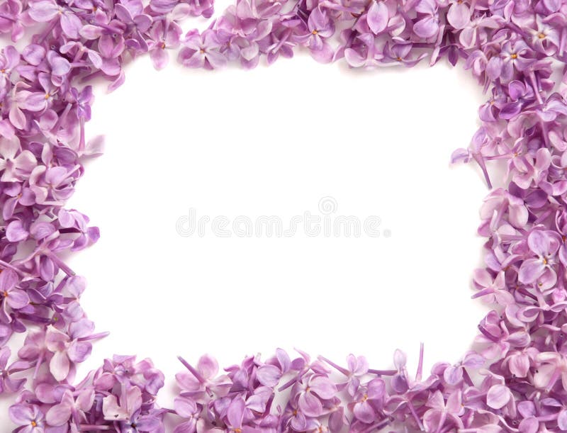 23,790 Lilac Frame Stock Photos - Free & Royalty-Free Stock Photos from ...