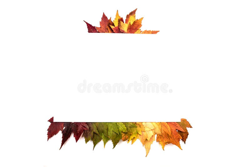 Frame Composed of Colorful Autumn Leaves Over White Stock Image - Image ...