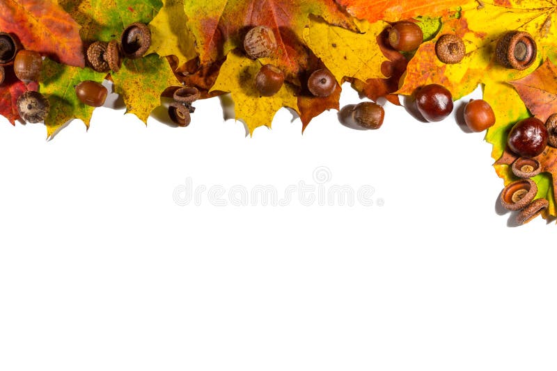 Frame Composed of Colorful Autumn Leaves Over White Background. Copy ...