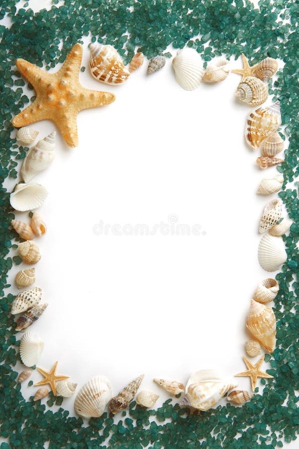 Frame Composed of Sea Shells and Sea Salt Stock Photo - Image of ...