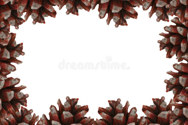 Frame with cones stock image. Image of decoration, golden - 1513645