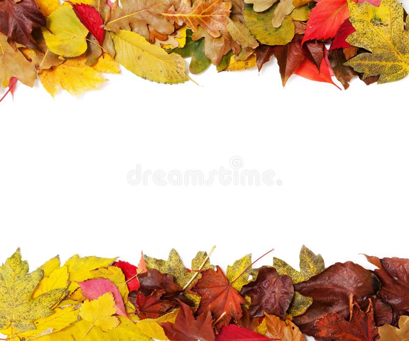 Frame Consists of Two Strips of Colorful Autumn Leaves Trees Stock ...