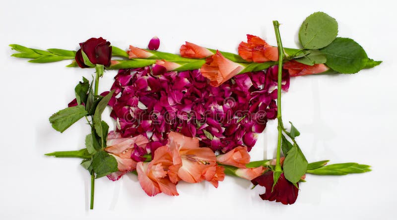 Frame Created by Roses and Gladiolas Stems and Filled by Rose Stock ...