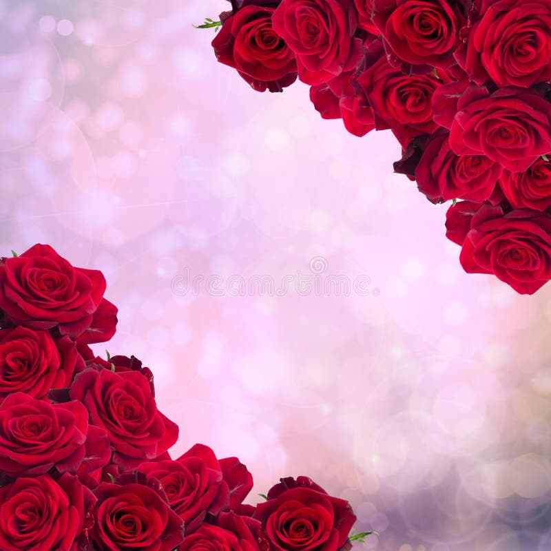 Frame of Dark Red Rose Petals Stock Image - Image of fresh, greetings ...