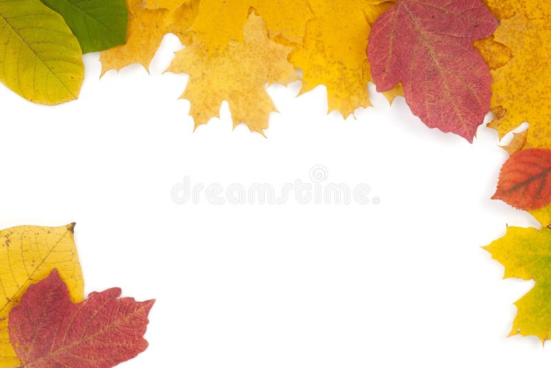 Frame das folhas de outono foto de stock. Imagem de fundo - 27018548