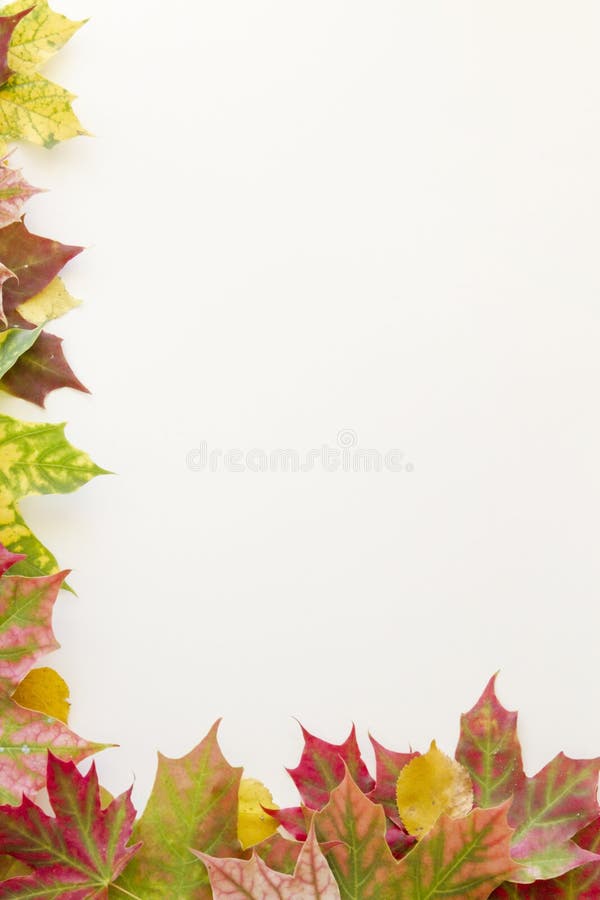 Frame Das Folhas De Outono No Fundo Branco Imagem Vertical Foto de ...