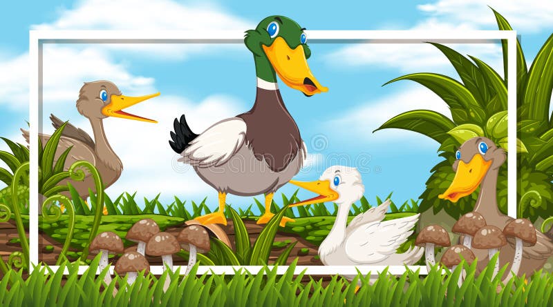 Frame Design with Ducks in the Woods Background Stock Vector ...