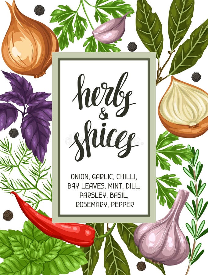 Frame Design with Various Herbs and Spices Stock Vector - Illustration ...