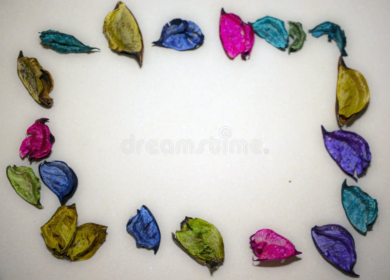 Frame Designed with Dry and Colorful Leaves. White Background Stock ...