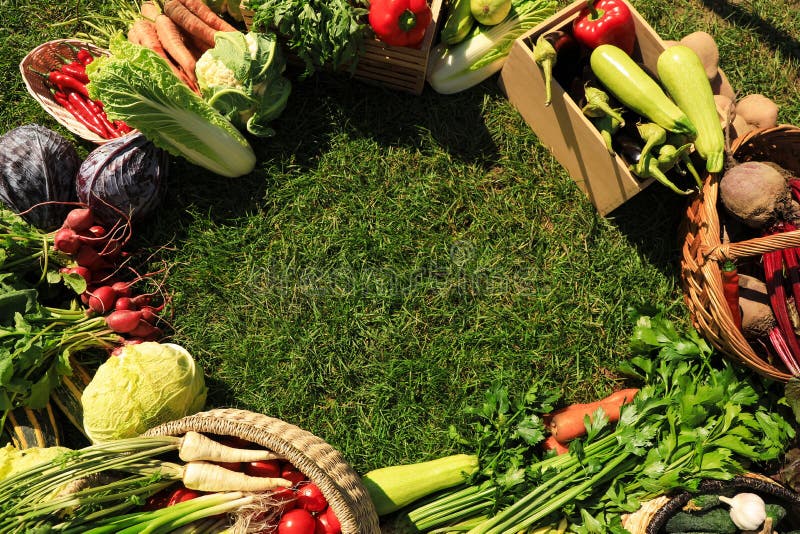 Frame of Different Fresh Ripe Vegetables on Green Grass, Top View ...