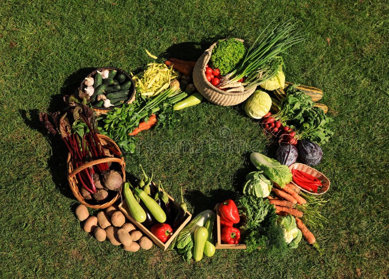 Frame of Different Fresh Ripe Vegetables on Green Grass, Top View ...