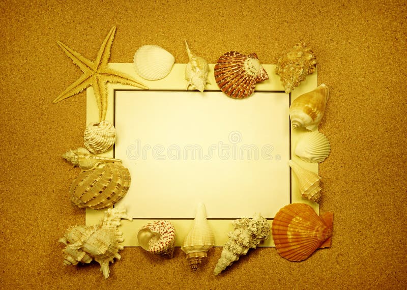 Frame Do Mar Com Starfishes Imagem de Stock - Imagem de imagem, galo ...