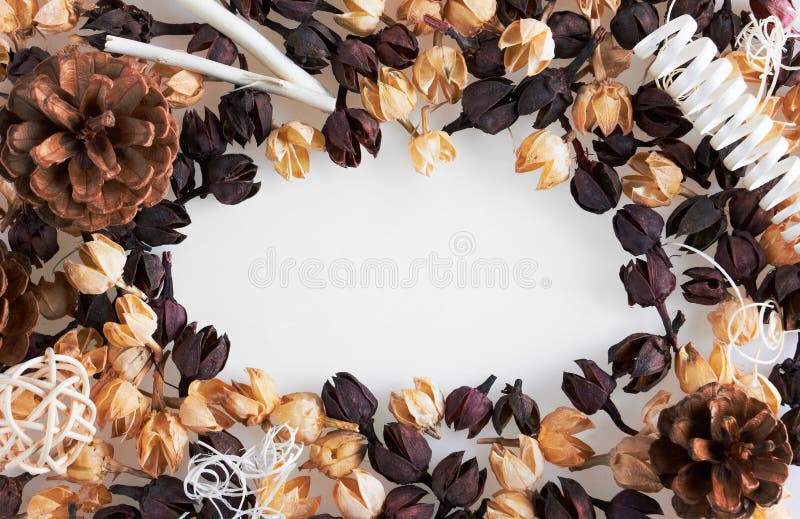 Frame of dried flowers stock illustration. Illustration of stem - 30367071