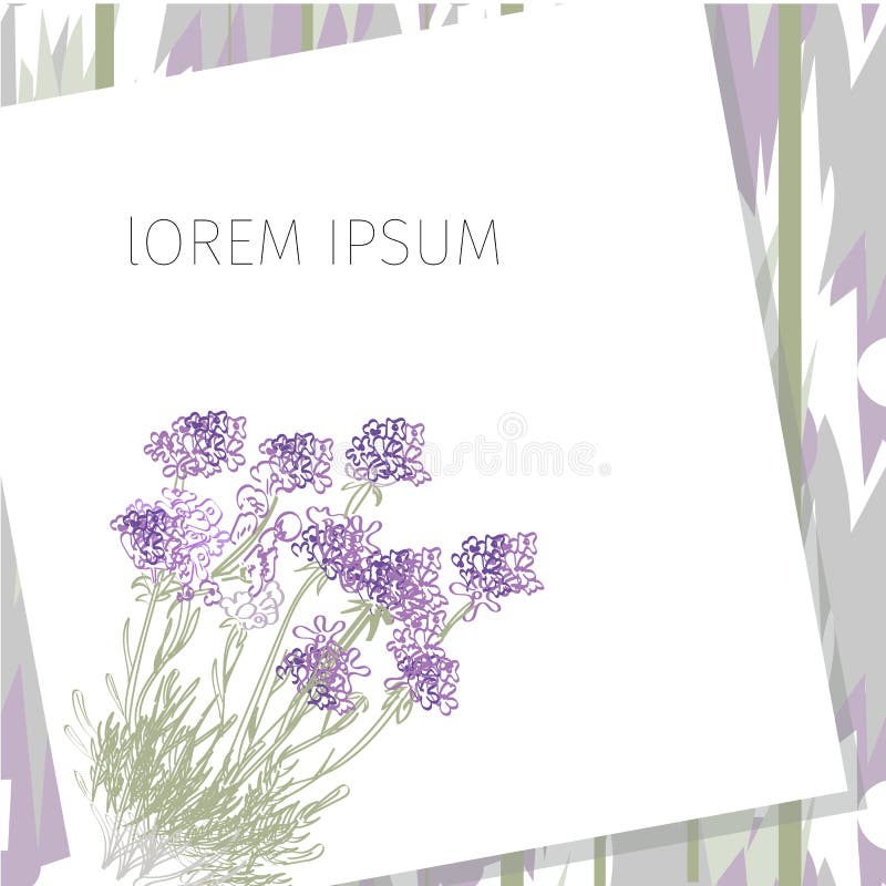 Frame with Empty Place for Text or Picture. White Colored Interior ...