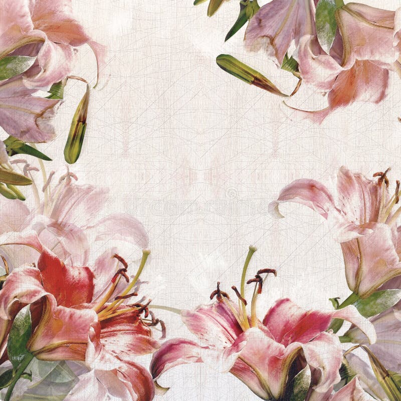 Frame floral, lily stock illustration. Illustration of nature - 44900587