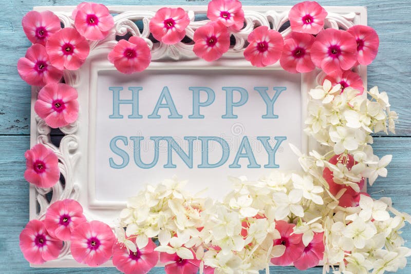 Frame with Flowers and Text: Happy Sunday Stock Image - Image of ...
