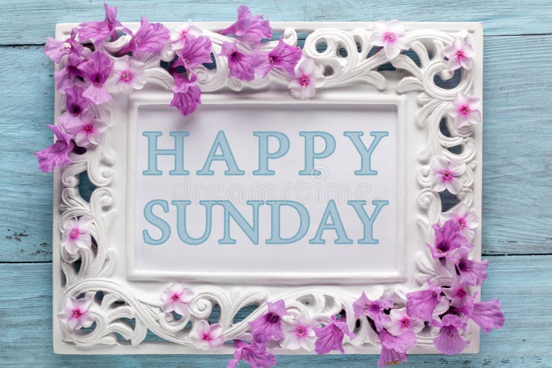Frame with Flowers and Text: Happy Sunday Stock Image - Image of plant ...
