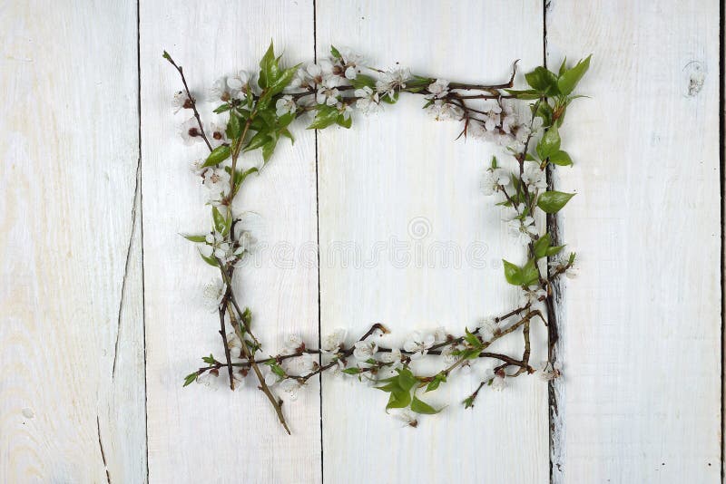 Frame of Flowers on the White Boards Stock Photo - Image of border ...