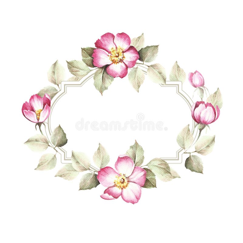 Frame with Flowers of Wild Rose. Watercolor Illustration Stock ...