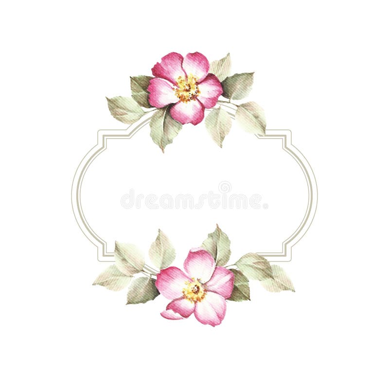 Frame with Flowers of Wild Rose. Watercolor Illustration Stock ...