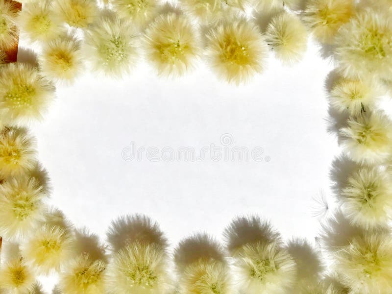Frame of fluffy balls. stock image. Image of fluffy - 188554249