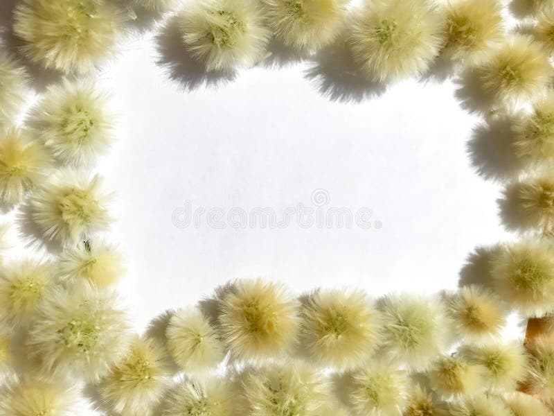 Frame of fluffy balls. stock photo. Image of nature - 188554272
